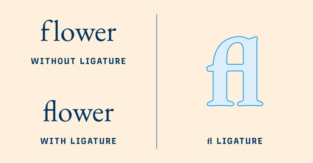 Essential Terms You Must Know About Typography - Typogram Blog