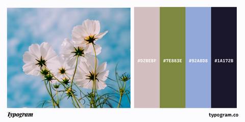Reviewing Poppins: The Perfect Geometric Sans Serif - FontDiscovery