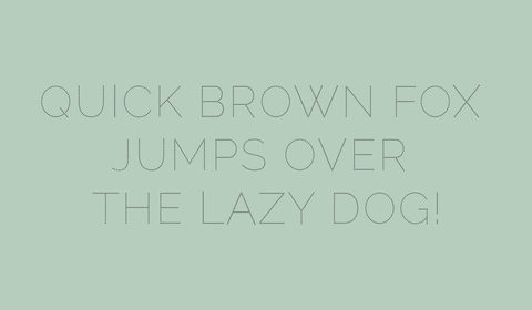 How to Use Raleway: An Elegant and Graceful E-commerce Font - FontDiscovery