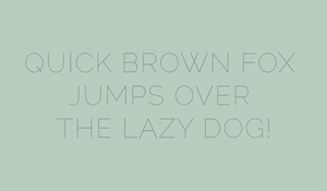 How to Use Raleway: An Elegant and Graceful E-commerce Font - FontDiscovery