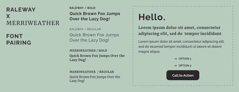 How to Use Raleway: An Elegant and Graceful E-commerce Font - FontDiscovery