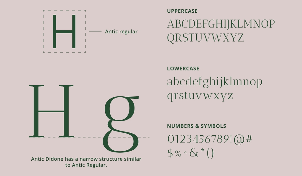 Antic Didone: A Bold Modern Serif That Transforms Your Branding Design ...